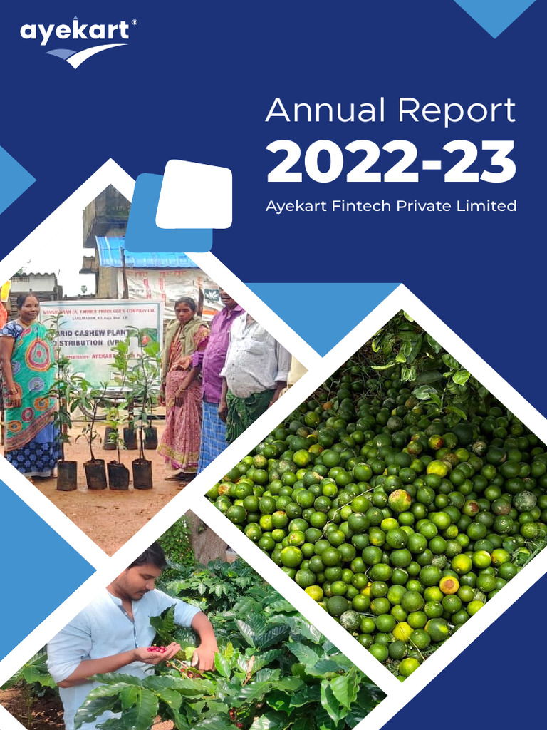 AFPL Annual Report - FY 2022 2023 | PDF | Sustainability | Stocks