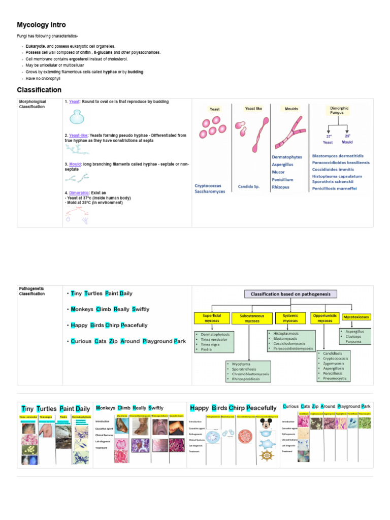 Mycology Master Chart v1 - Dr. Aghosh B Prasad | PDF | Fungus | Medical ...