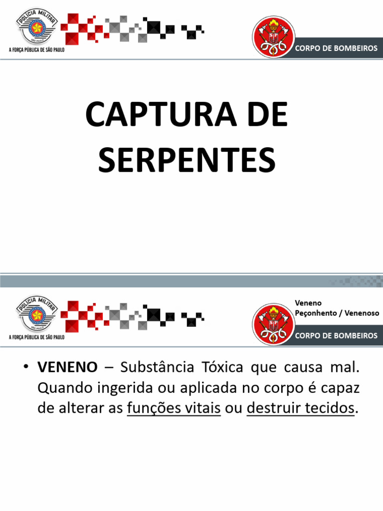 Animais Peçonhentos MARCATTI Final 2022-1 | PDF | Serpente | Veneno