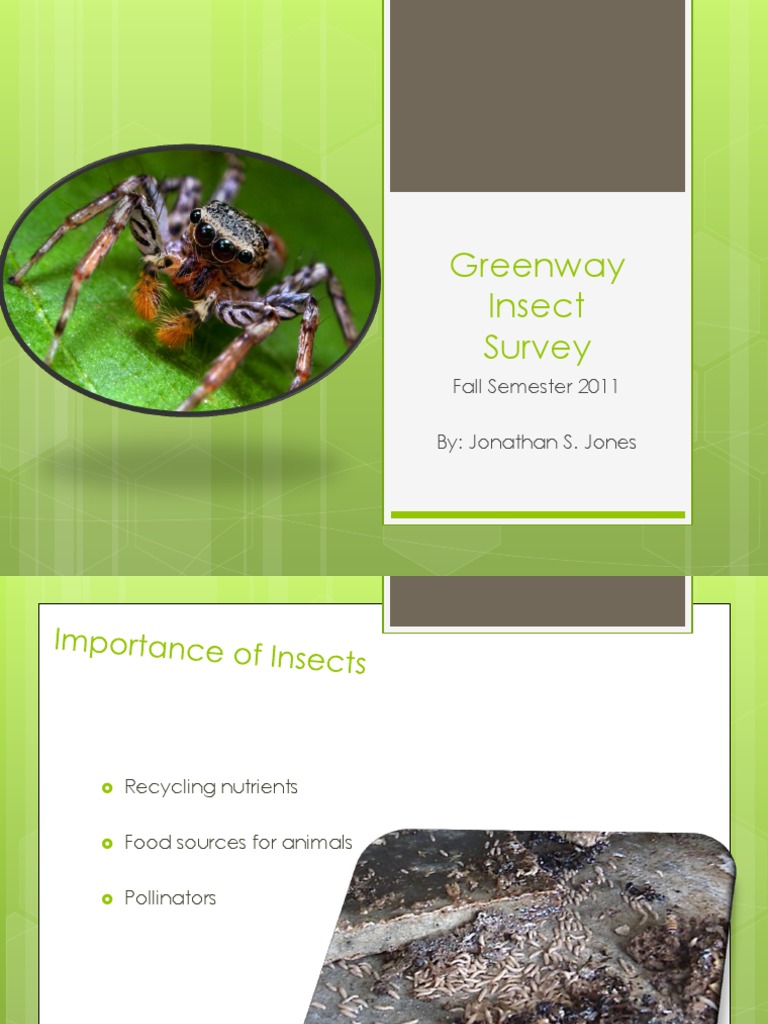 Insect Survey | PDF