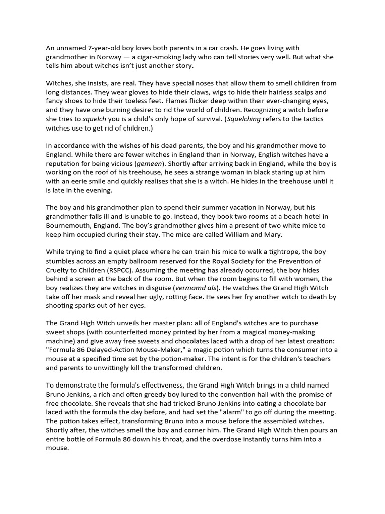 Summary the Witches | PDF