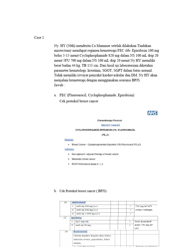 Sitostatika Porto | PDF
