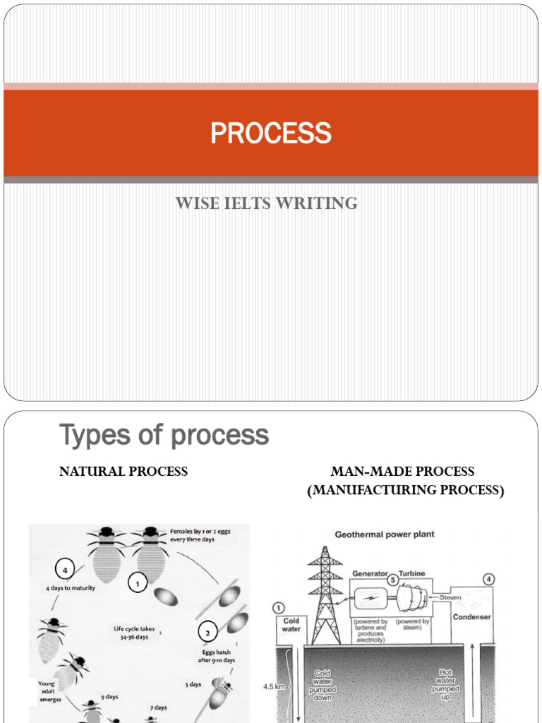 Wwriting Process | PDF
