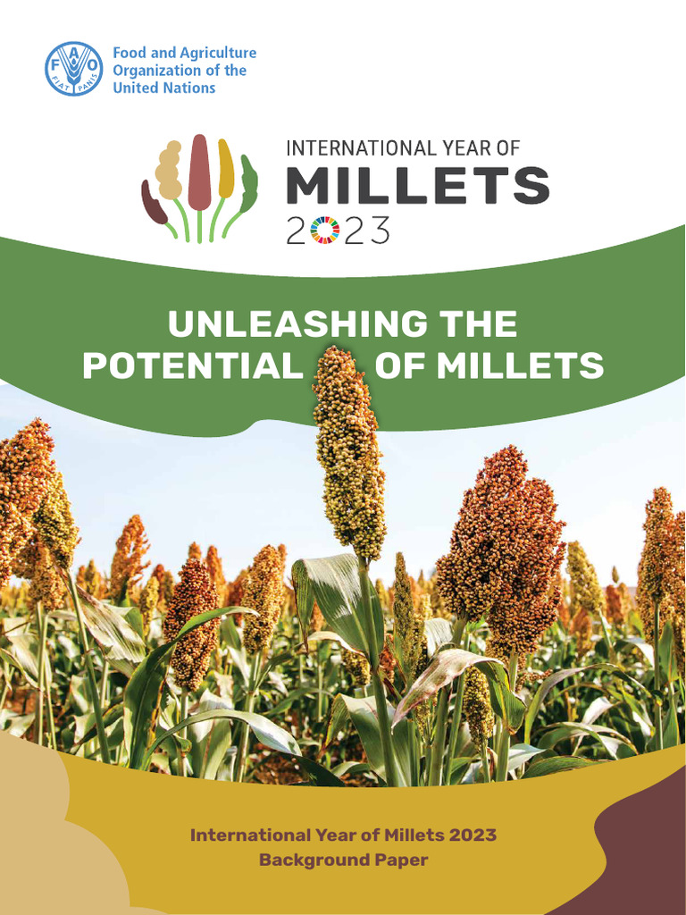 FAO 2023 Report | PDF | Cereals | Nutrients