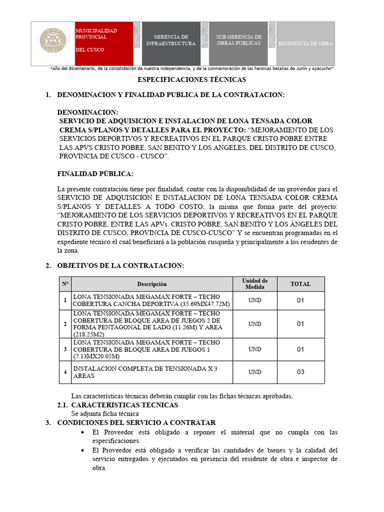 TDR Servicio Lona | PDF