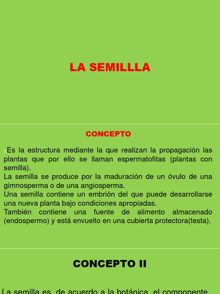 La Semilla | PDF | Semilla | Embrión