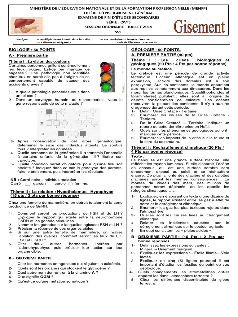 SVT 2019 SVT Gisement | PDF | Hypothalamus | Sciences de la terre