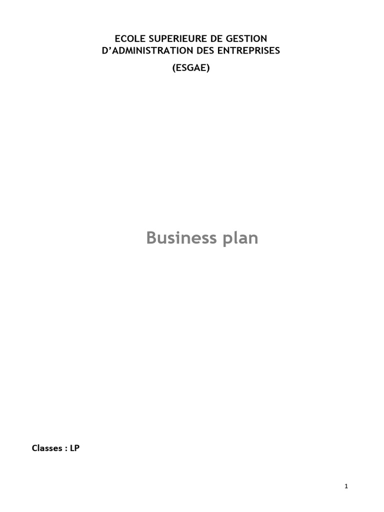 Business PLAN 2 | PDF | Fonds de roulement | Plan d'affaires