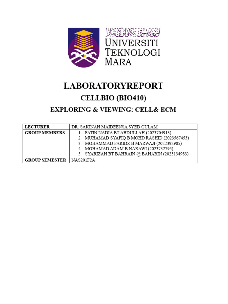 Laboratory Report 1 (Ecm) | PDF | Extracellular Matrix | Microscopy