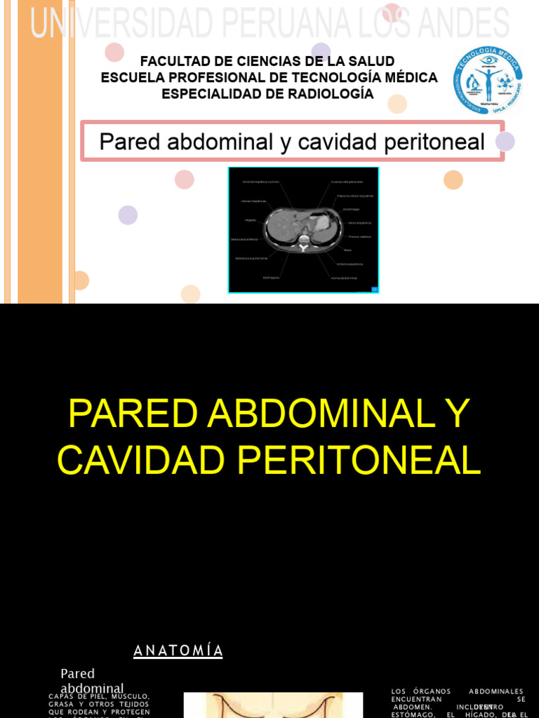 4 - Pared Abdominal y Cavidad Peritoneal | PDF | Abdomen | Peritoneo