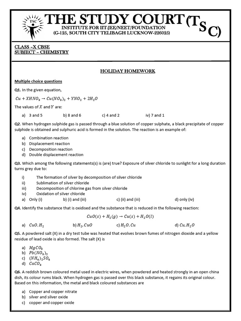 Class 10 Holiday Homework Chemistry | PDF | Chemical Reactions | Redox