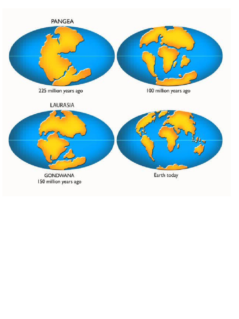 Pangea | PDF
