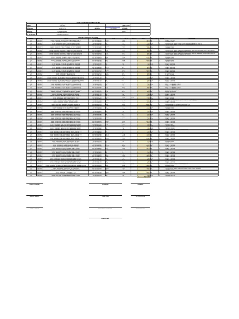 Formato Cartera | PDF