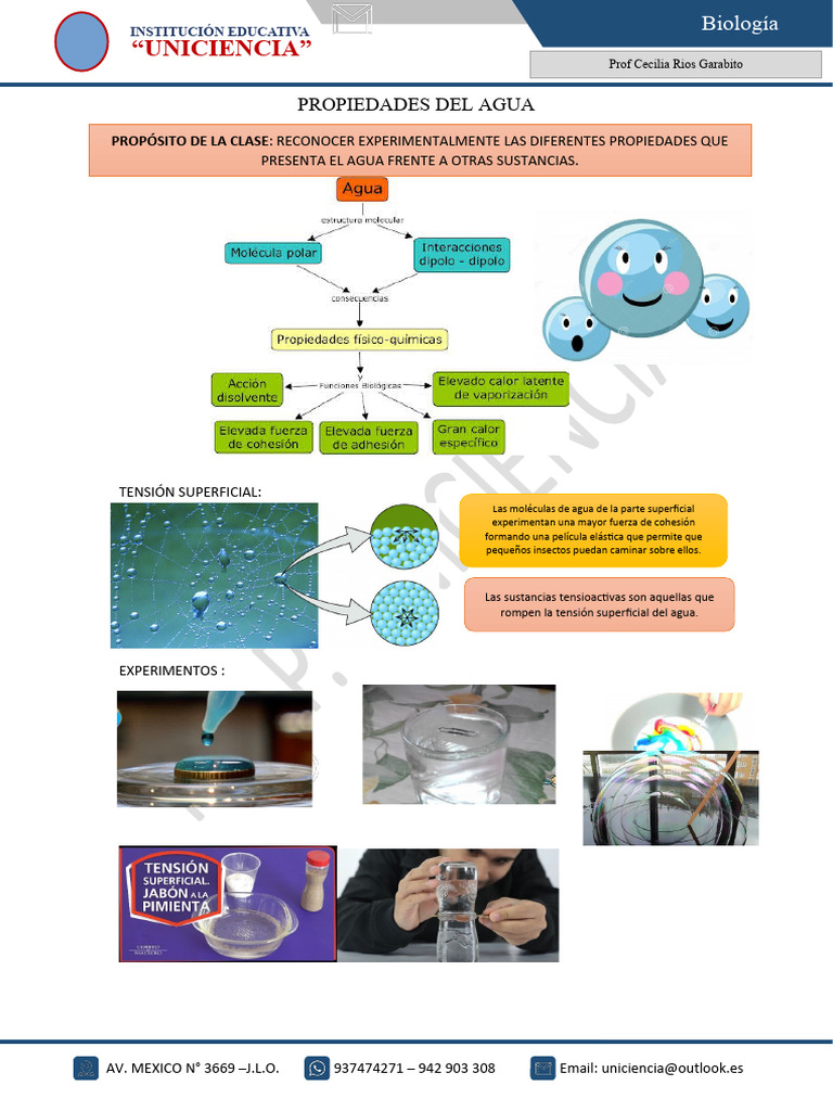 Propiedades Del Agua | PDF | Ciencia y matemáticas