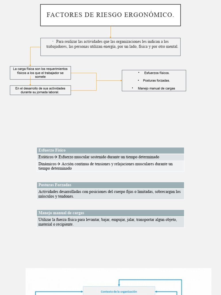 Factores de Riesgo Ergonómico | PDF | Factores humanos y ergonomía