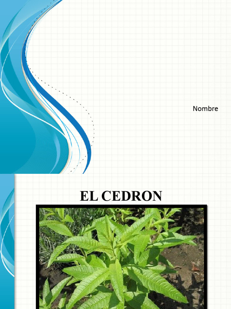 El Cedron | PDF | Hogar, jardinería y bricolaje