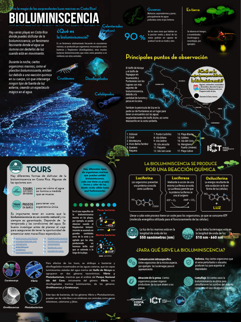 BIOLUMINISCENCIA | PDF | Biología