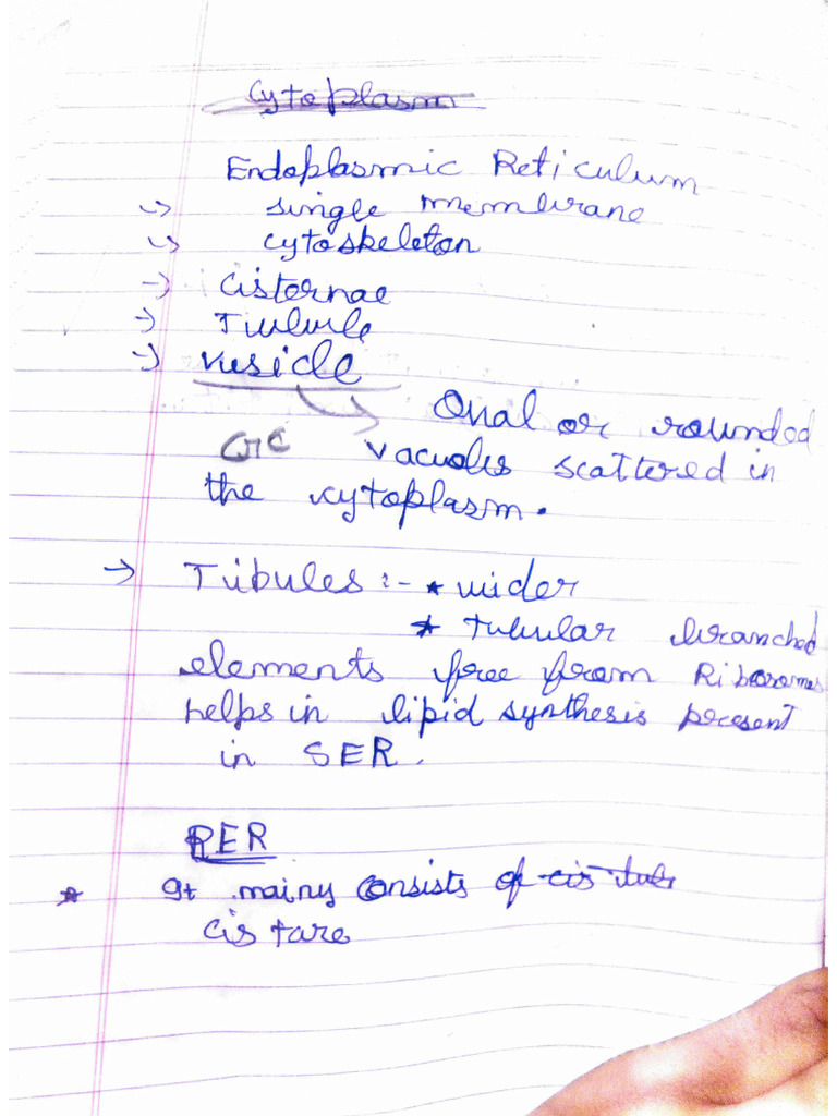 Cell Organelles Notes | PDF
