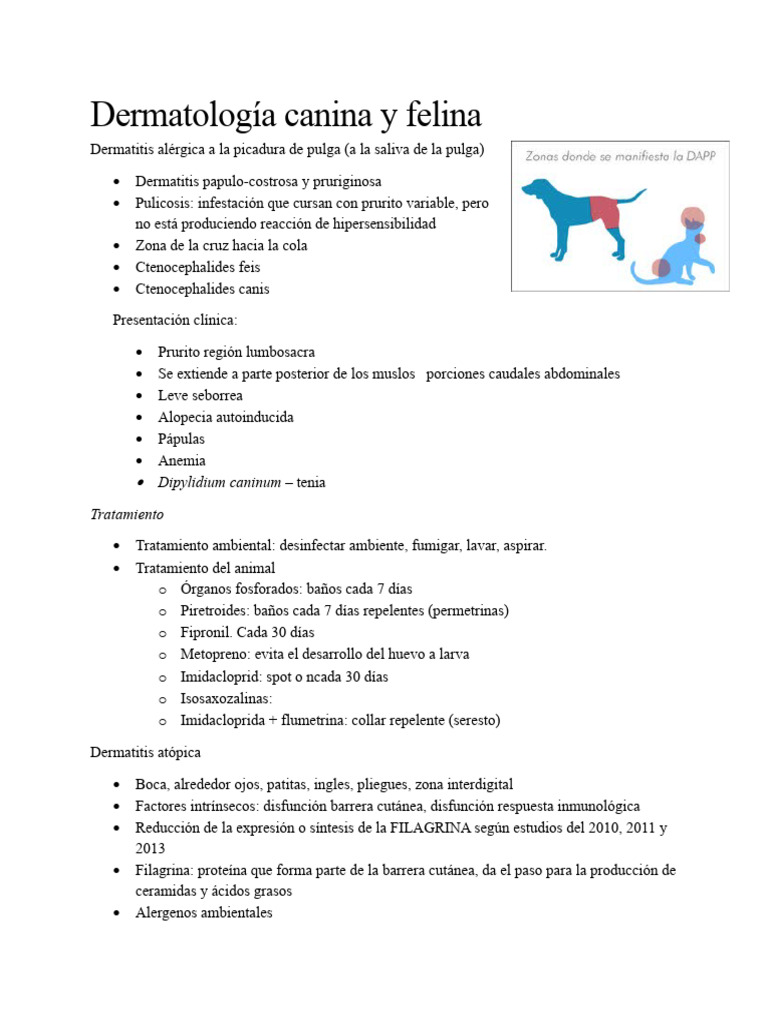 Dermatología Canina y Felina | PDF | Alergia | Enfermedades y trastornos