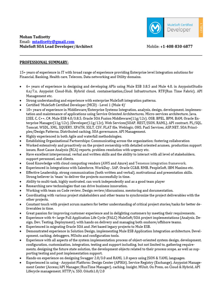 MuleSoft Architect Resume Overview | PDF | Service Oriented ...