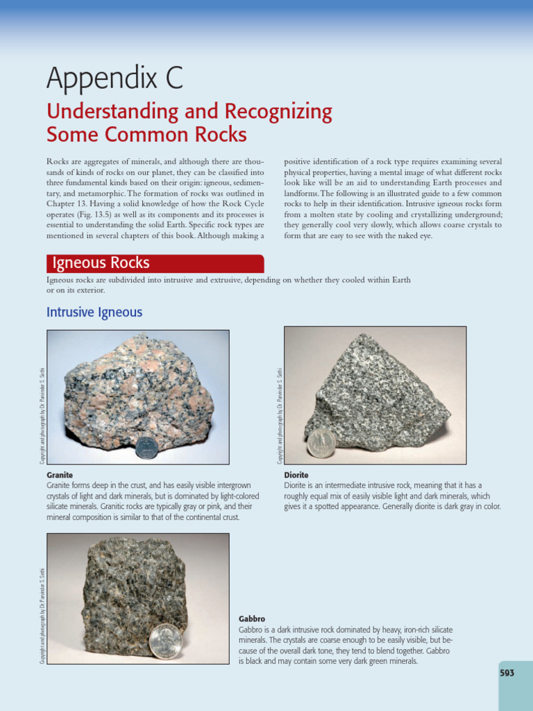 Rocks | PDF | Rock (Geology) | Clastic Rock
