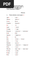 IPA Vowel and Consonant Practice | PDF | Consonant | Phonetics
