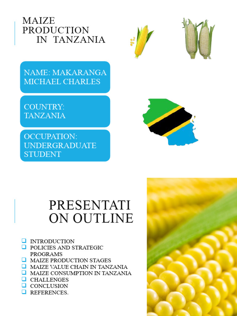Maize Production Tanzania Final | PDF | Tanzania | Agriculture