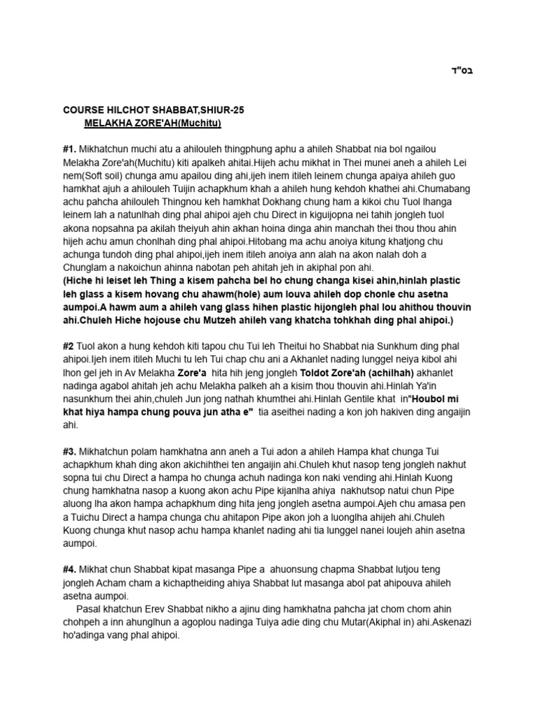 Hilchot Shabbat Shiur-25 | PDF