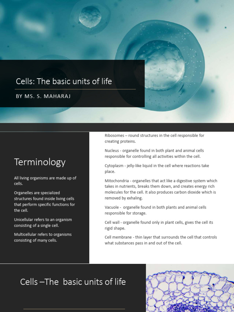Cells - The basic units of life | Download Free PDF | Cell (Biology ...