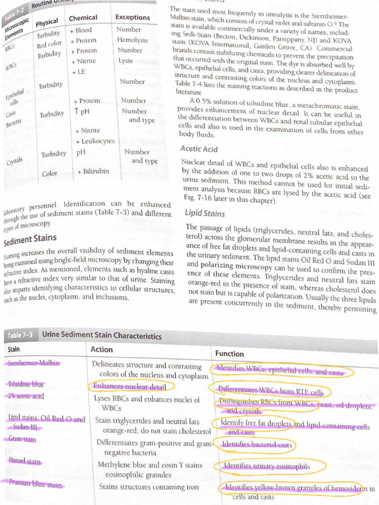 Microscopic Examination Aubf Lec | PDF