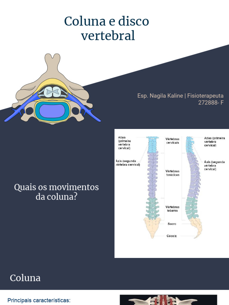 AULA 06 - Coluna e Disco Vertebral | PDF