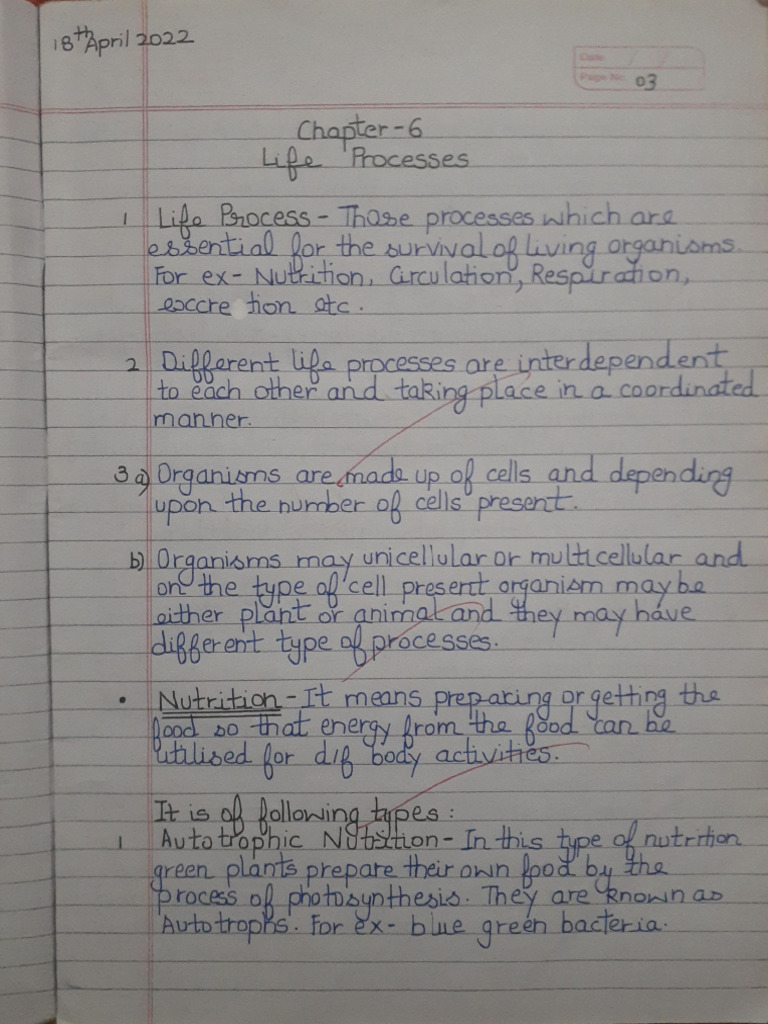 CH-6 Life Process | PDF