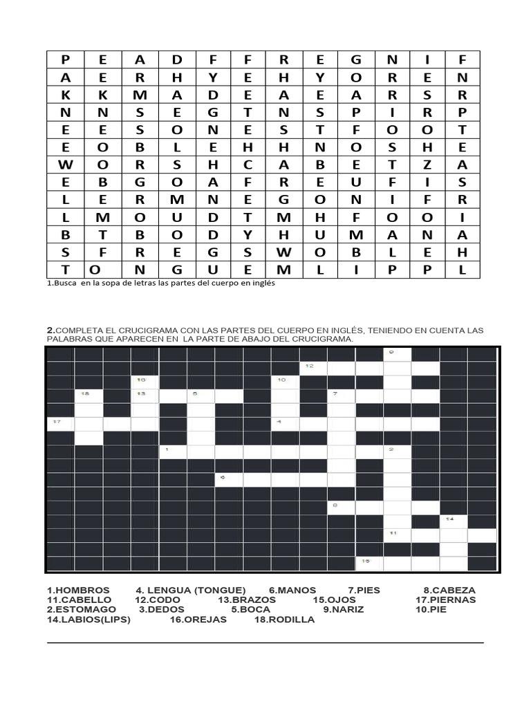 Crucigrama Cuerpo Humano | PDF