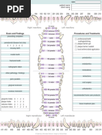 Teeth Labelling Worksheet Answers | PDF