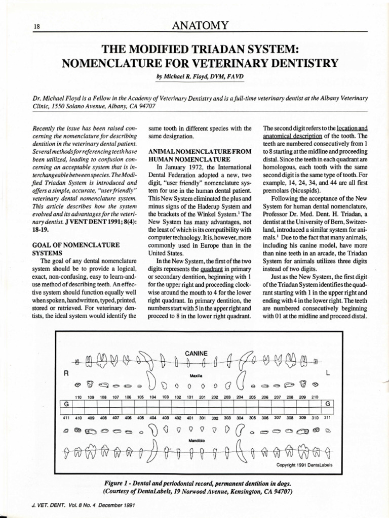 The Modified Triadan System - Nomenclature For Veterinary Dentistry ...