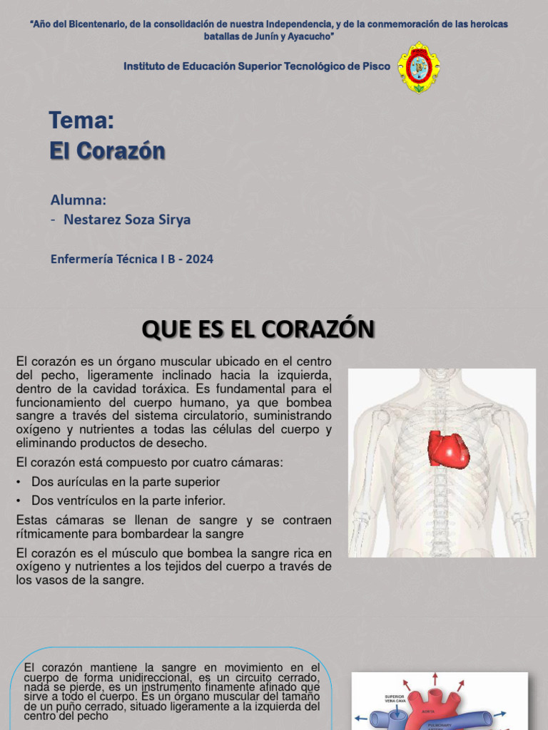 El Corazon 1 | PDF | Corazón | Sistema circulatorio