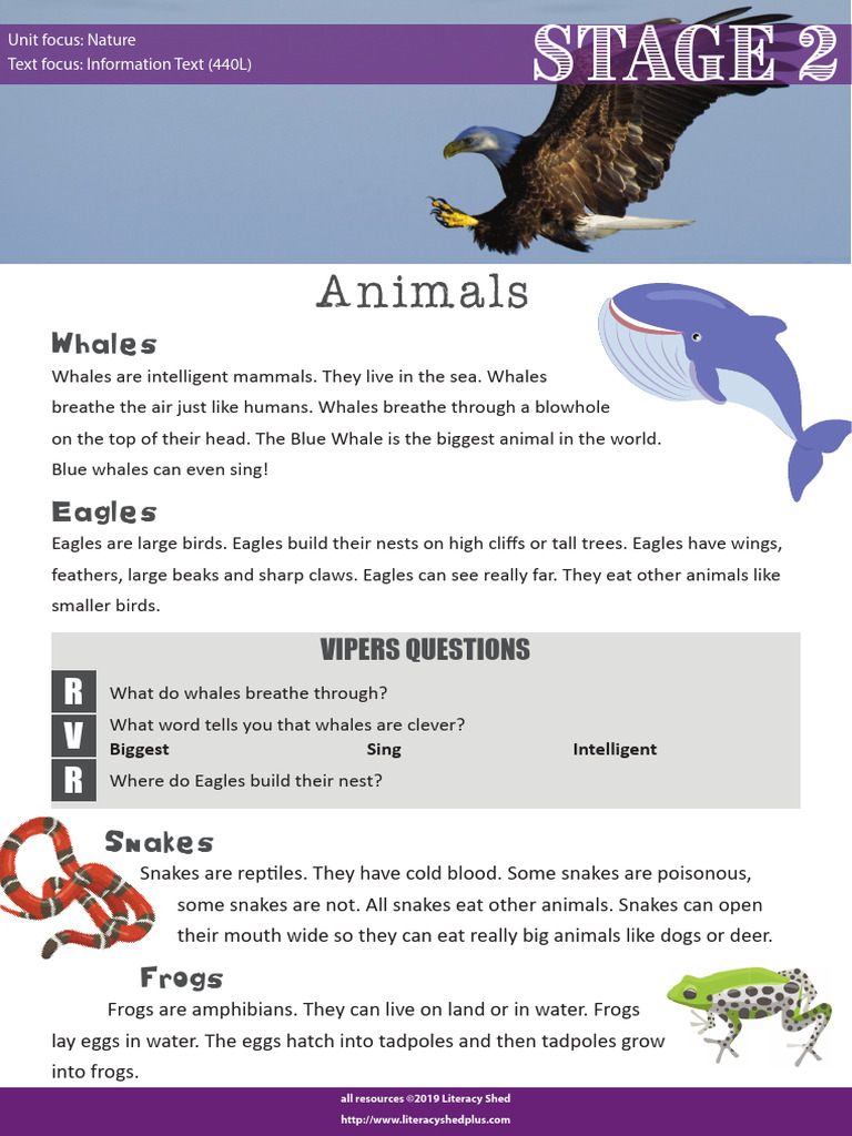 Animals Stage 2 Comp Comprehension Pack | PDF | Frog | Eagle