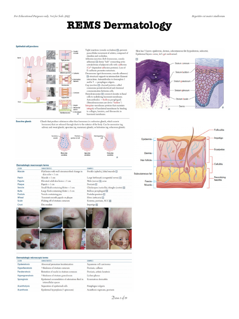 REMS Dermatology July 2022 | PDF | Dermatitis | Causes Of Death