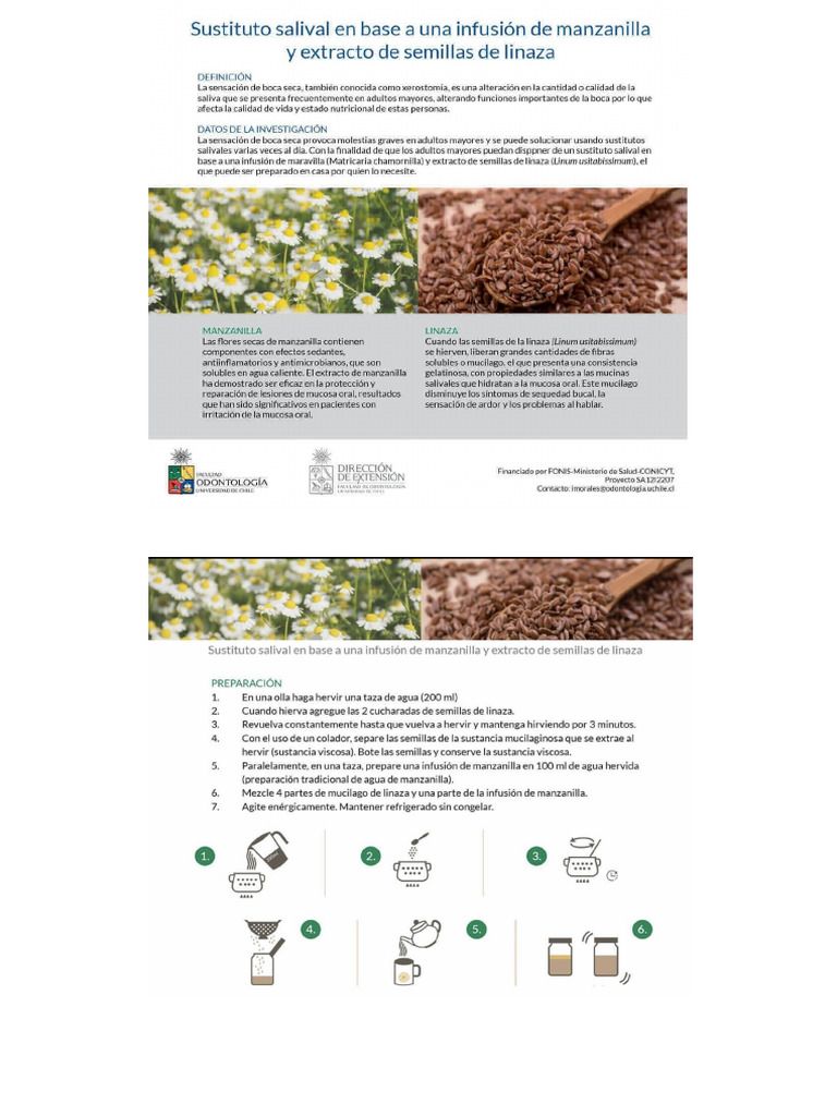 Sustituto Salival | PDF
