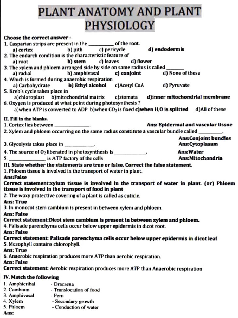 10th Science PLANT PHYSIOLOGY AND PLANT ANATOMY Notes | PDF | Cellular ...