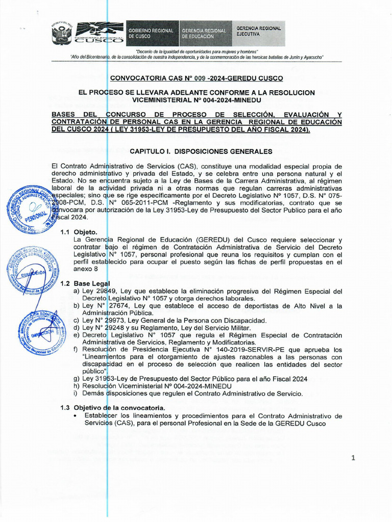 19 - 06 - 2024 Convocatoria CAS 009 2024 | PDF