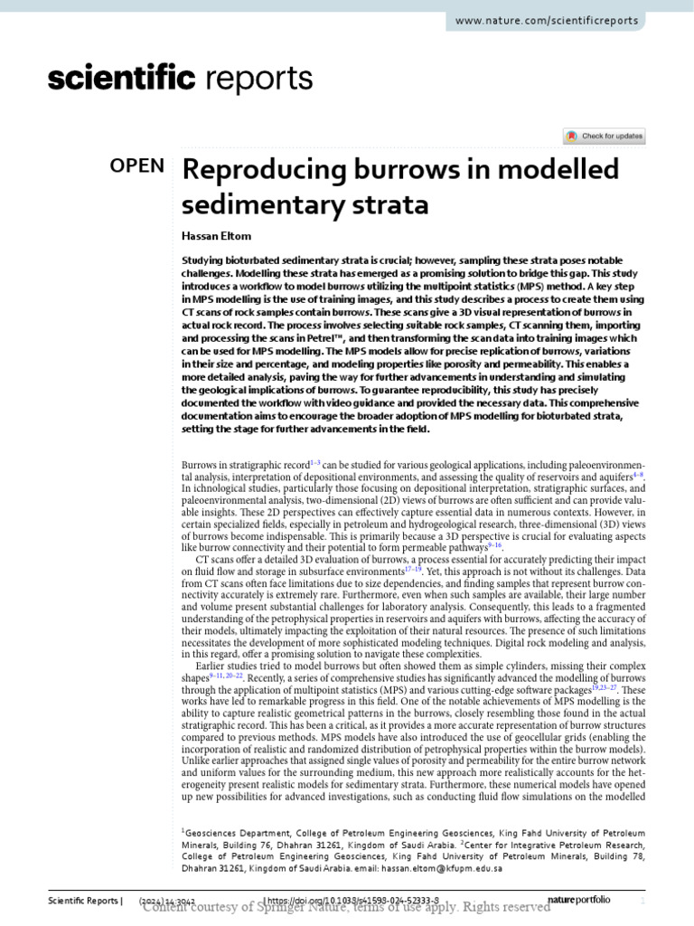 MPS Workflow for Modeling Burrows | PDF | 3 D Computer Graphics | Ct Scan