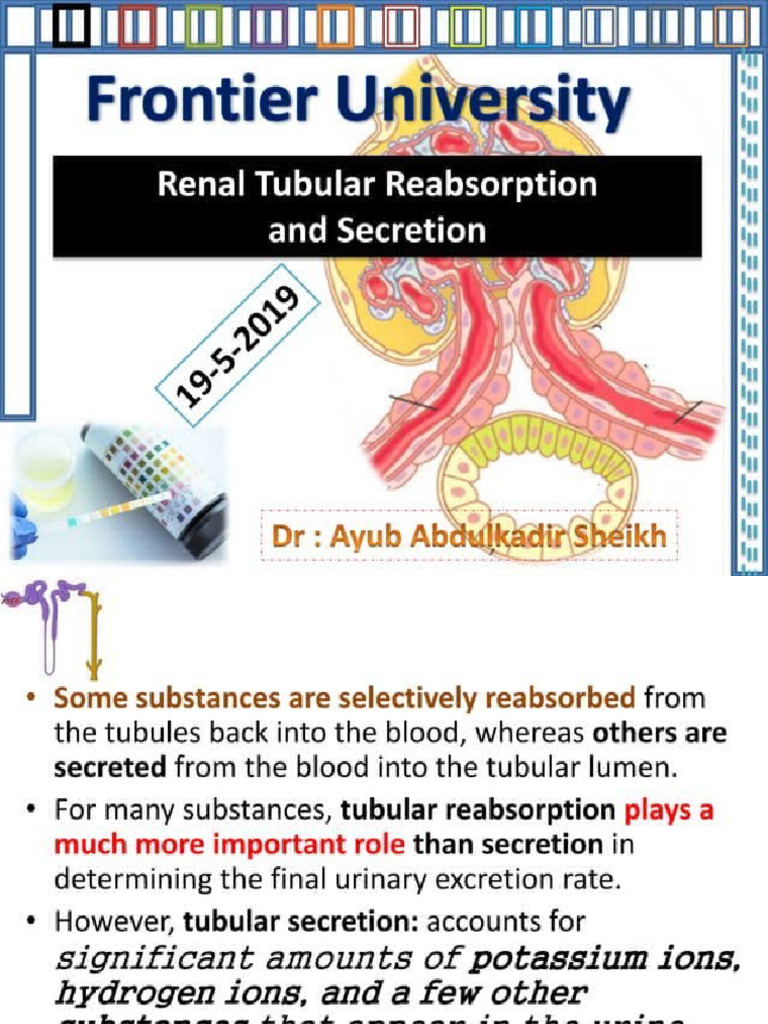 Uro Physiology | PDF