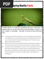 Mutupo - Shona | PDF | Zoology