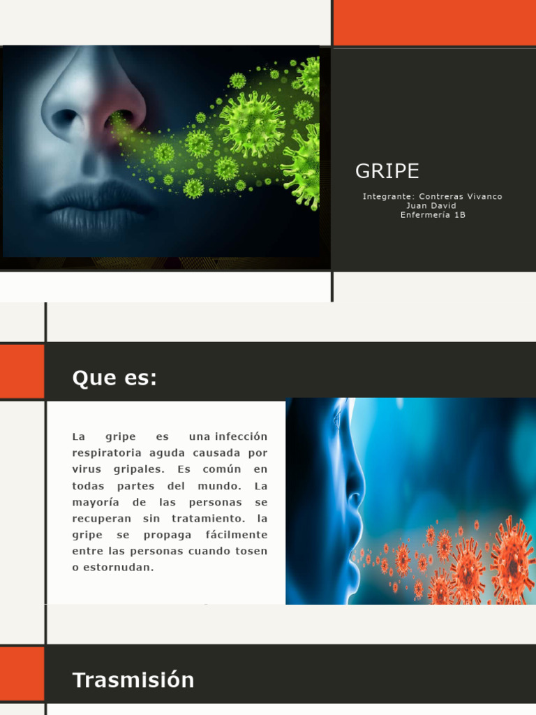 Presentación (La Gripe) | Descargar gratis PDF | Influenza | Droga antiviral