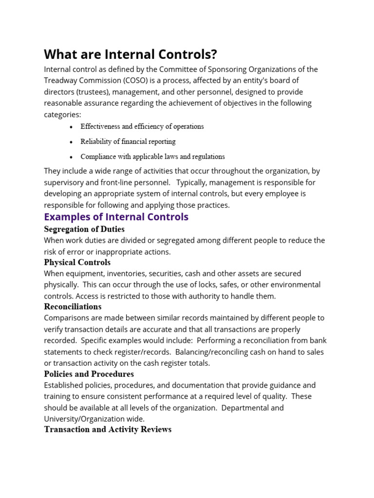 What Are Internal Controls | PDF | Internal Control | Business
