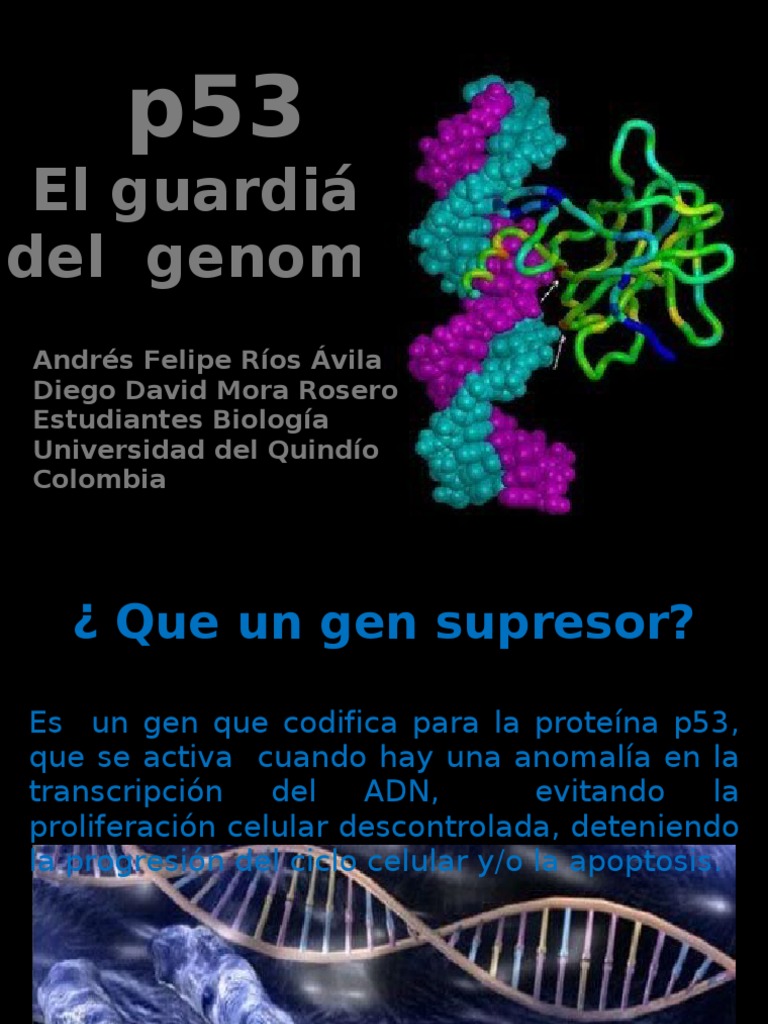 p53 Presentacion Scribd | PDF | Mutación | Gene