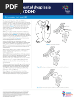 Graf Classification of Hip Dysplasia | PDF