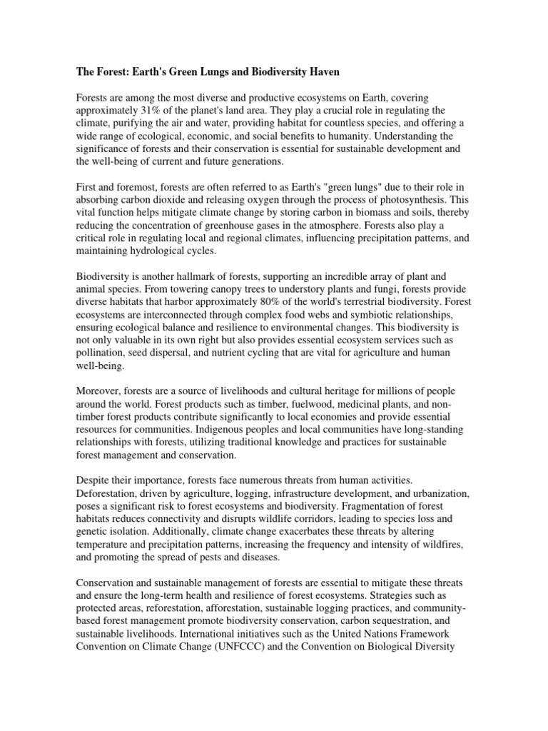 The Forest | PDF | Conservation Biology | Forests