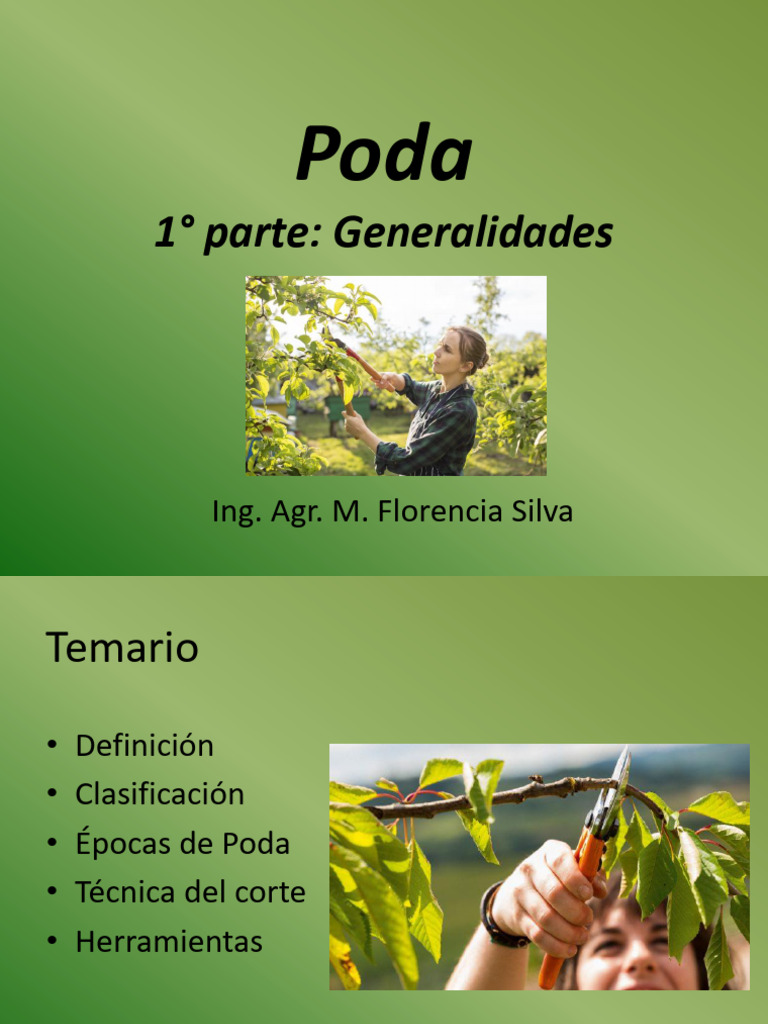 Poda | PDF | Agrios | manzana